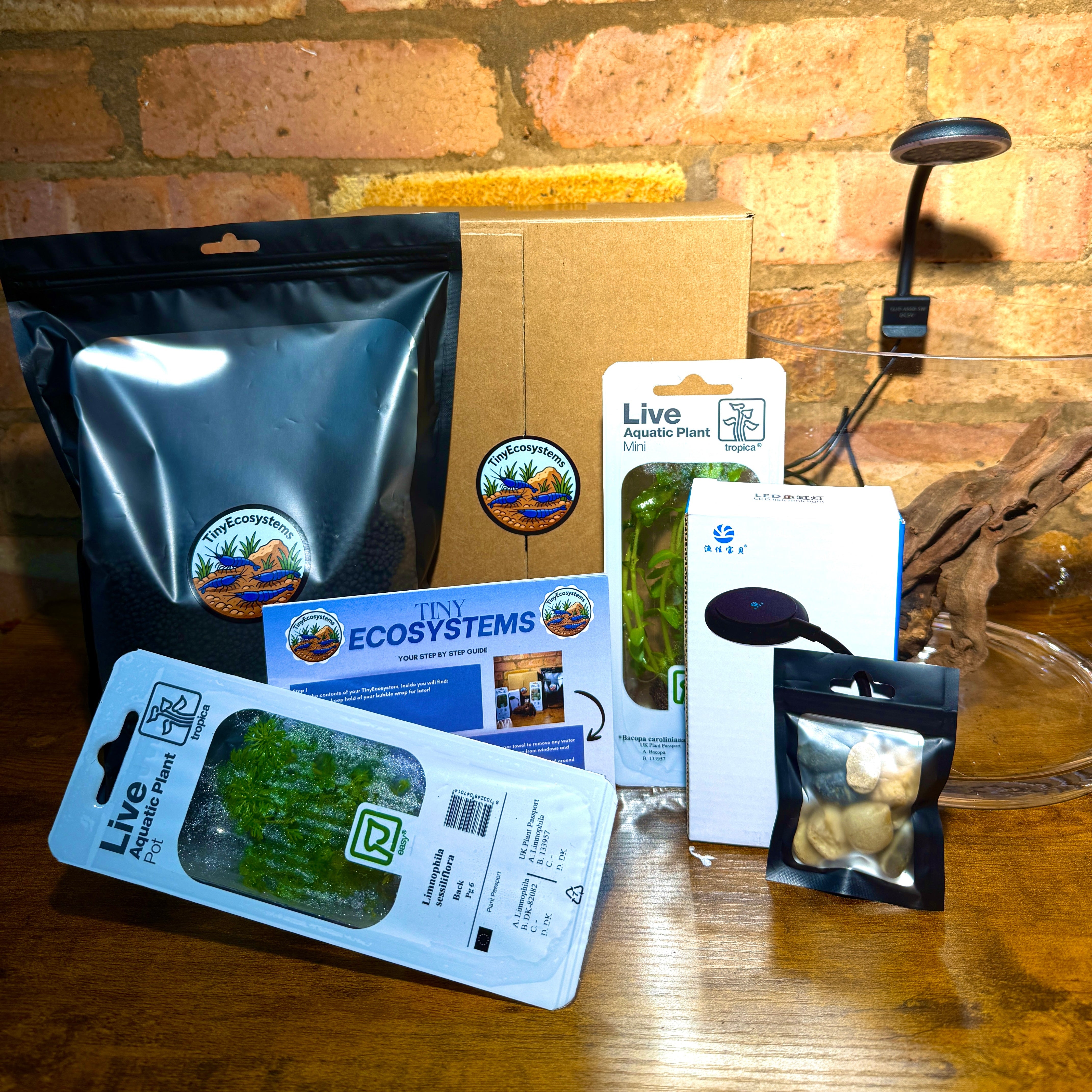 TinyEcosystem Beginner Box – TinyEcosystems
